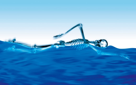 Neev 2 U: Amazing X-Ray View Desktop Wallpapers